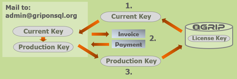 Keys & Prices - Grip on SQL